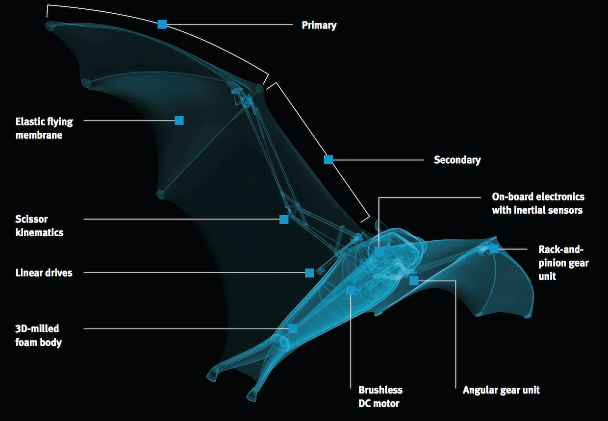 Festo’s New Bionic Robots Include Rolling Spider, Flying Fox | Buzz Post